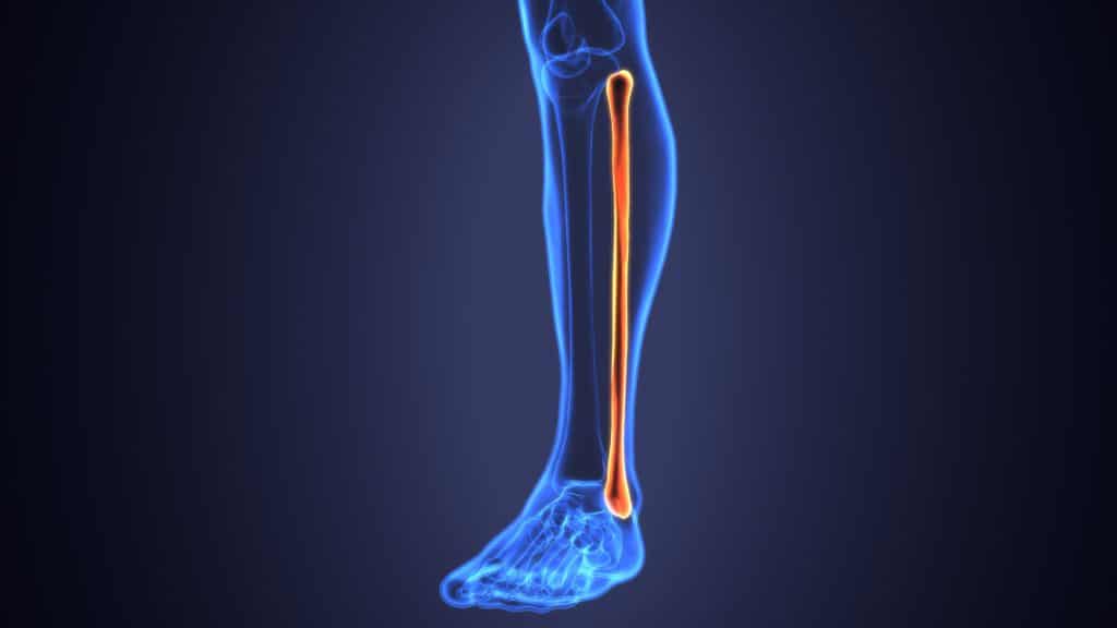 Non Weight Bearing Injury Resource Center Everything You Need To Know Non Weight Bearing Injury Resource Center Everything You Need To Know